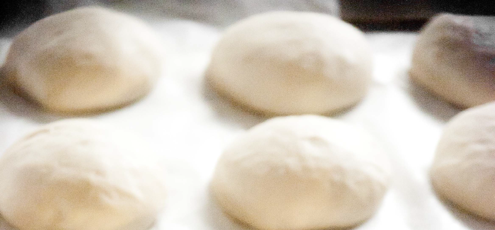 Blog | Thoroughbread